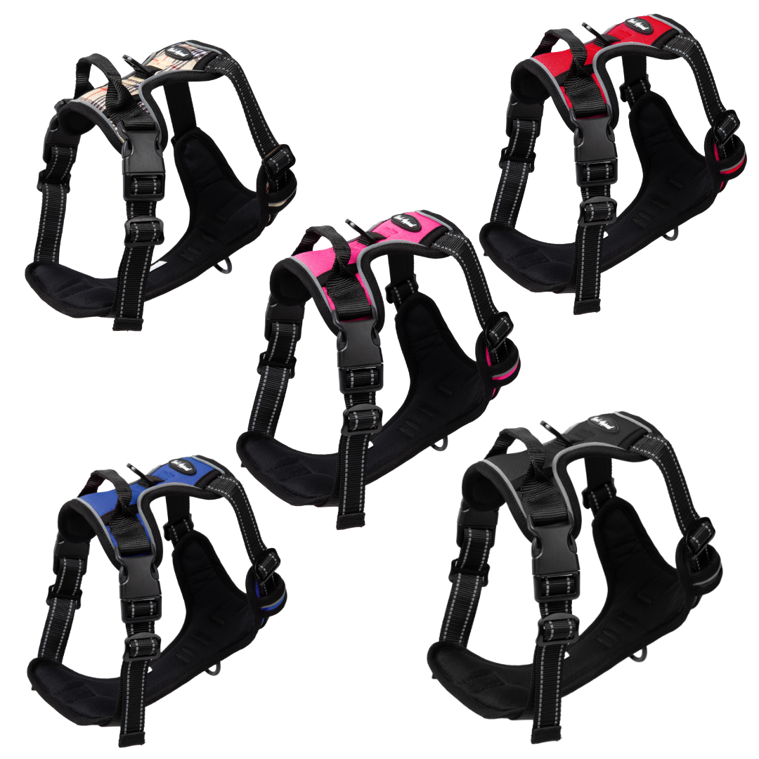 Reflective Control Harness – Bark Appeal